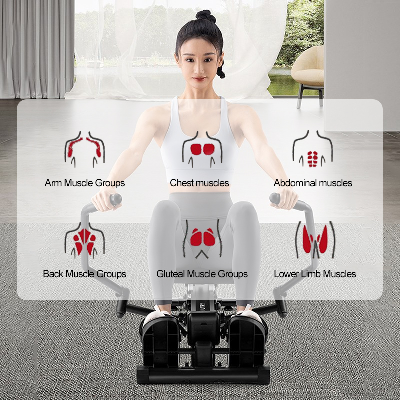 Hydraulic Rowing Machine Home Silent Double Paddle Bidirectional 12 ...