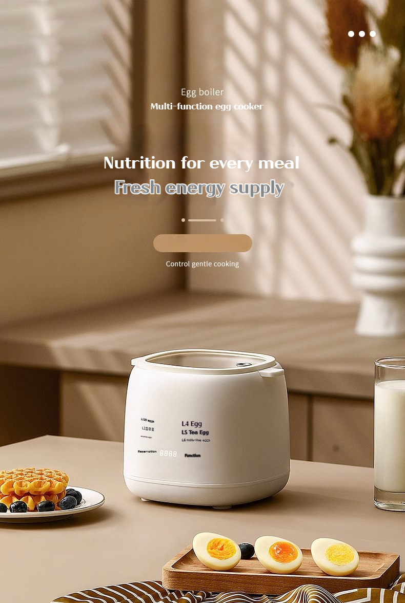 New Type Egg Poach Automatic Home Multi-Functional Steamed Egg Hot ...
