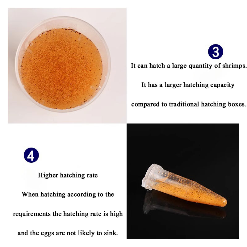 BBS Hatchery tool with Pump Aquarium Brine Shrimp Incubator Kit for ...