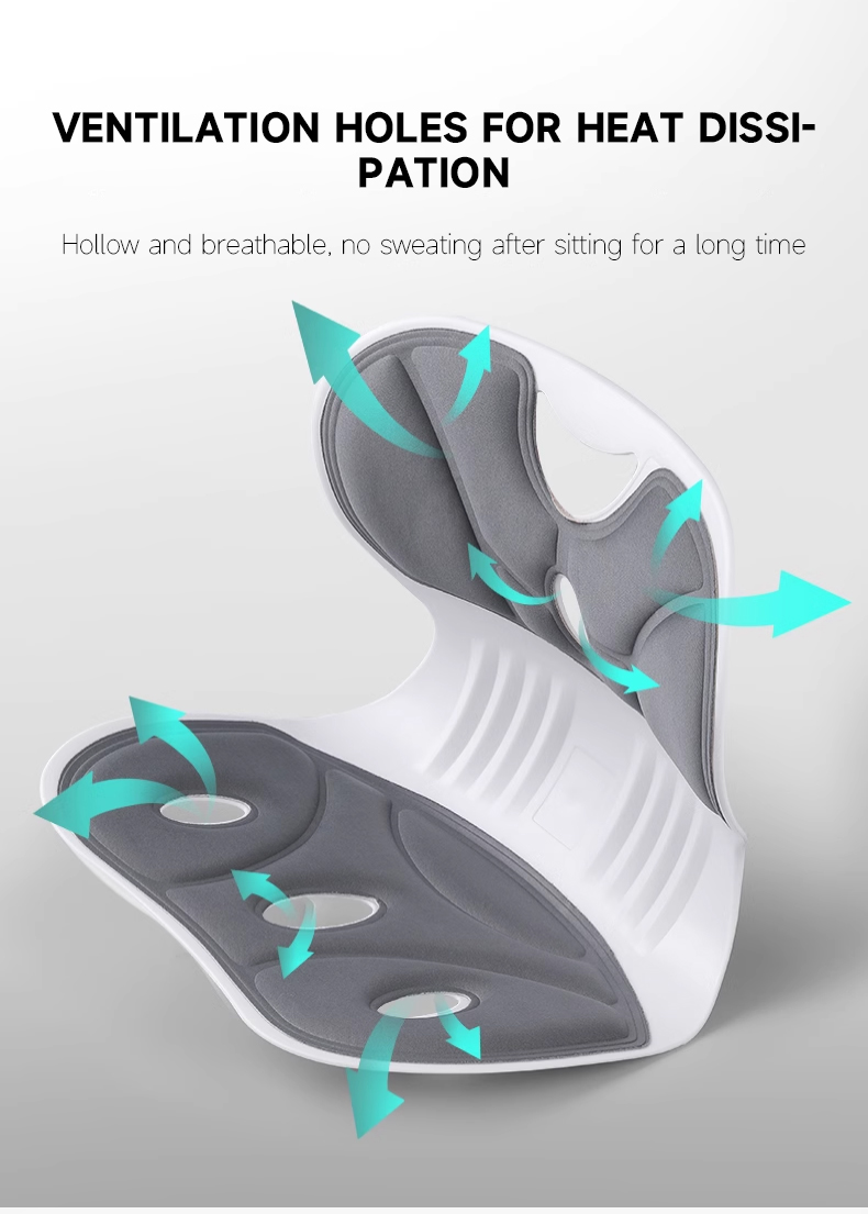 Oivia Posture Corrector Chair Back Support For Chair Cushion Curable ...