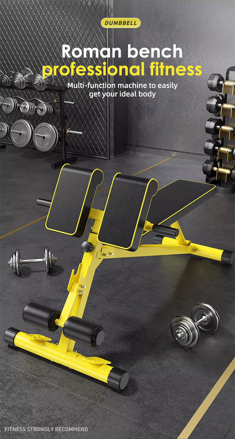 Roman chair multi-function dumbbell bench priest bench sit-up aid board ...