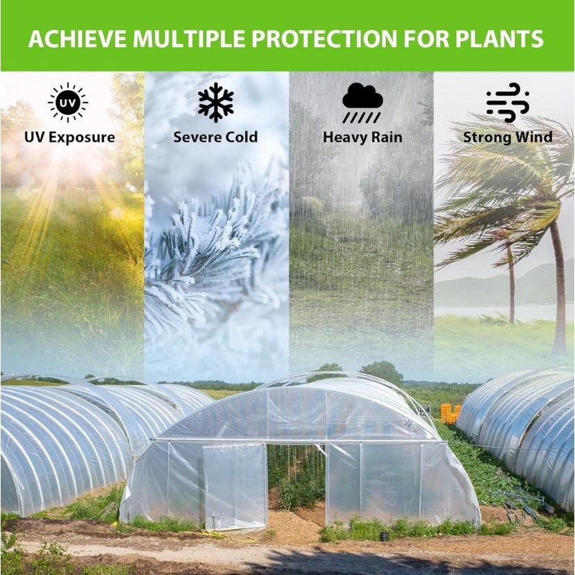 UV Plastic Sheet ( 200 Microns) Plastic Sheeting Clear Greenhouse Film ...