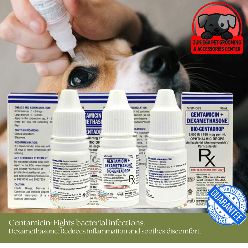 Bio-Genta Eye Drops for Pets 10ml - Gentamicin Eye Drop for Gog ...