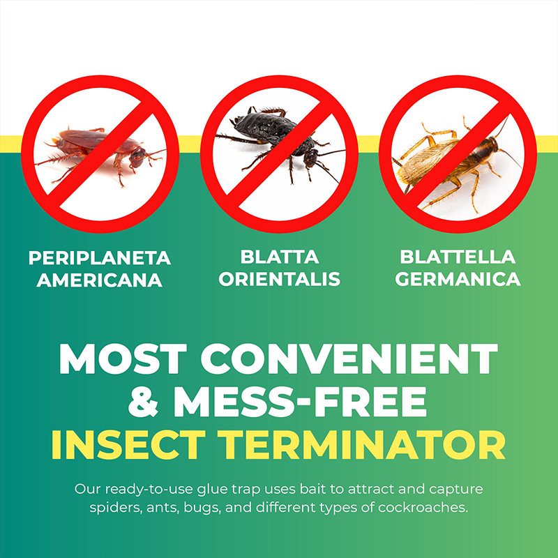 Cockroach medicine 100% kills cockroach bait Cockroach powder Cockroach ...