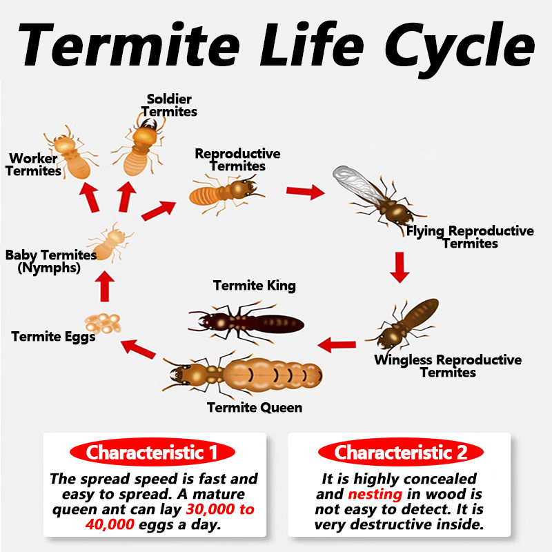 Termite killer powder Anay termite killer for wood Termite killer for ...
