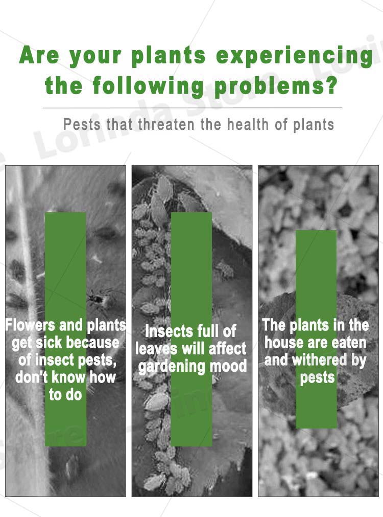 Plant Organic Insecticide Spray No Harm to Plants Insecticide for ...