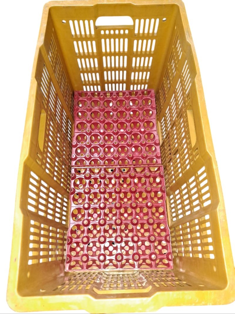 Egg crates Blue 1pc chicken egg crates courier for poultry product ...