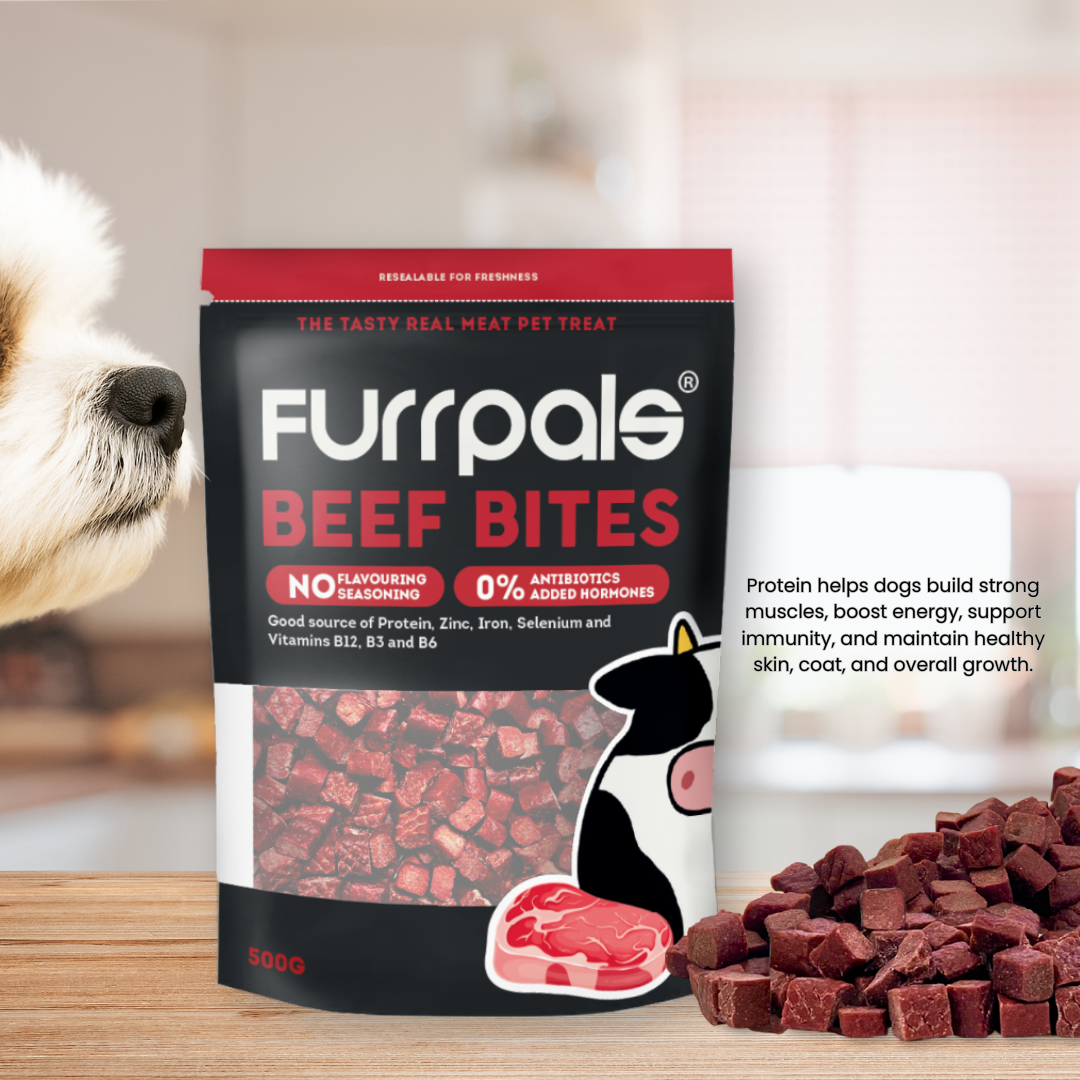 Furrpals 500g Beef Bites Pet Snack Pet Treats High Quality Pet Beef ...