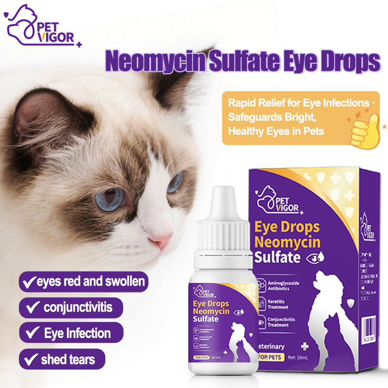 PET VIGOR Pet Neomycin Sulfate Eye Drops For Infection Cloudy Eyes Tear ...