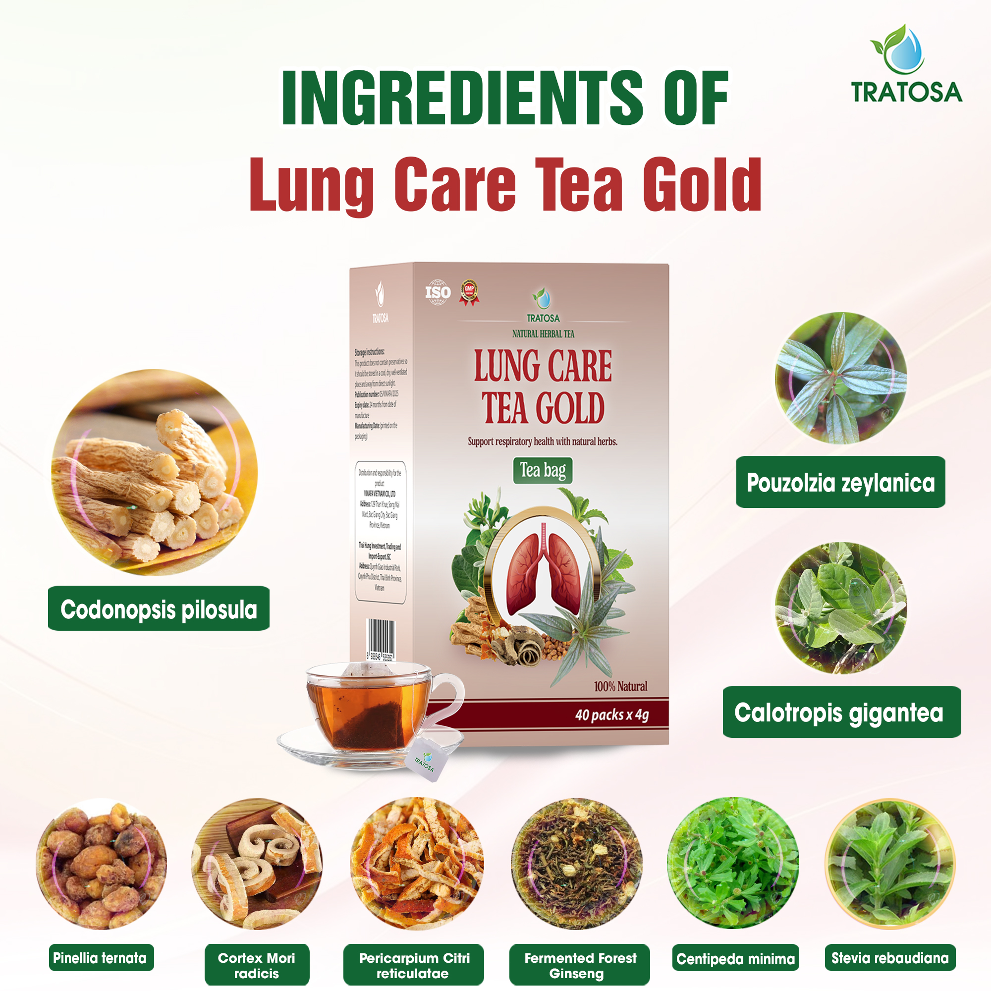 Tratosa Lung Care Tea Gold Herbal Tea Supports Lung Detox, Relieves ...