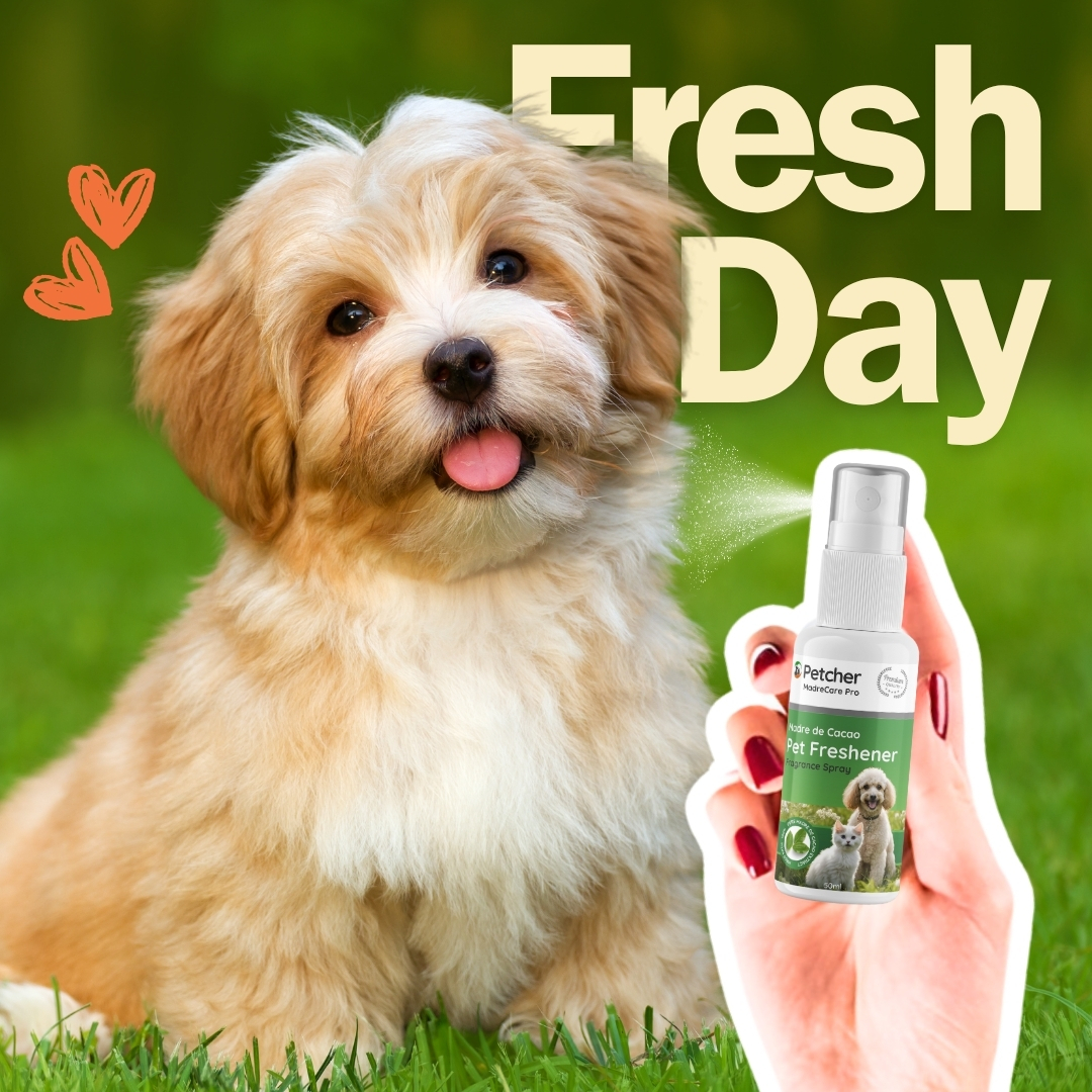 Pet Cologne Deodorizing Spray 50ml Powder Scent Hair Care for Dogs and ...