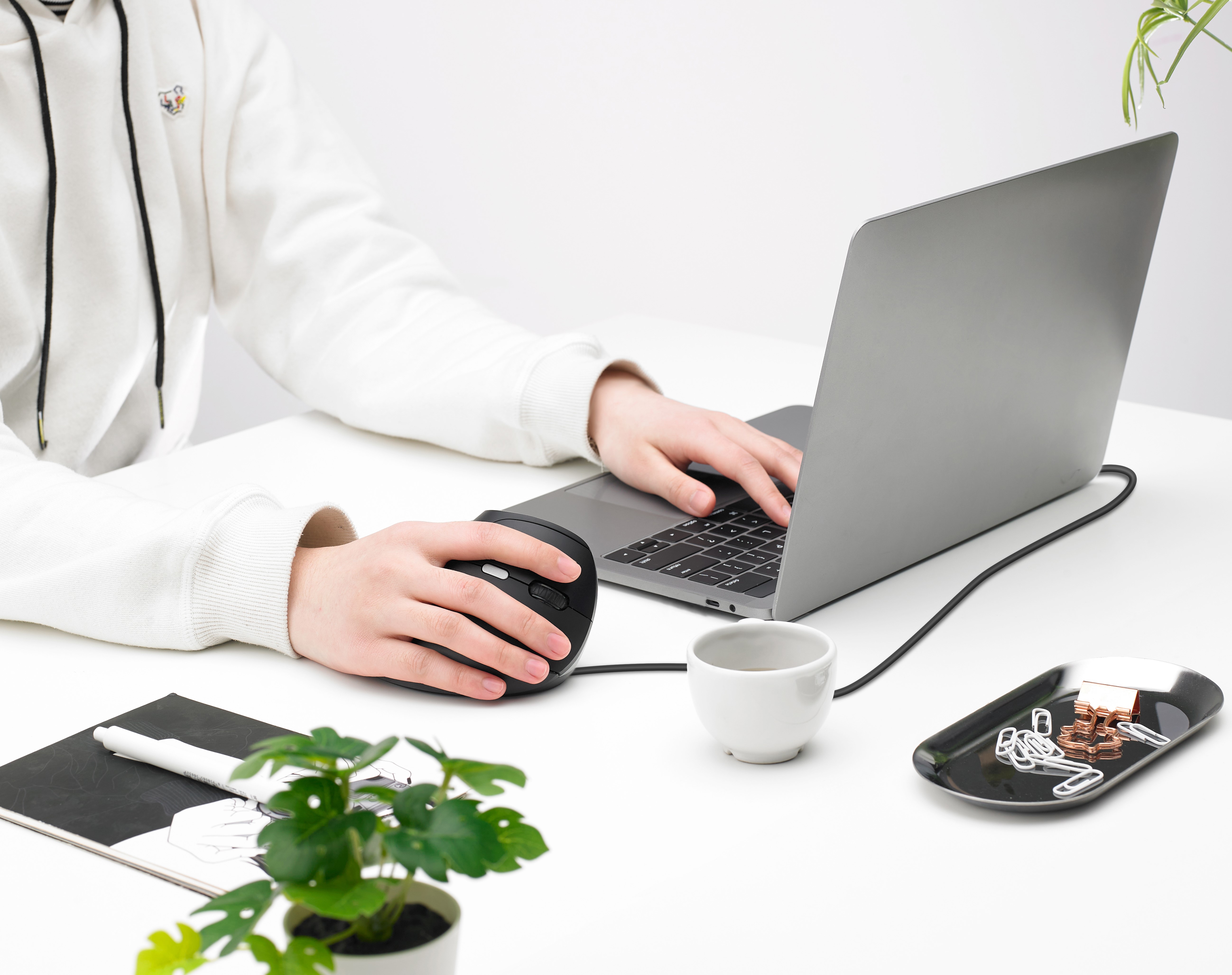 Rapoo EV200 Silent Vertical Optical Wired Mouse (Black) | Shopee Philippines