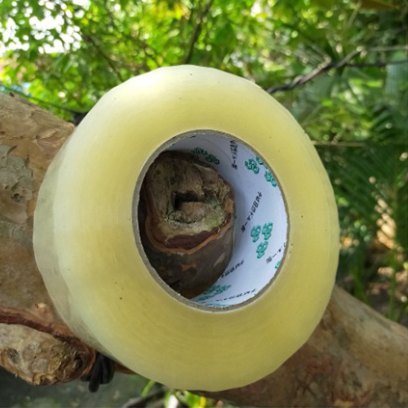 Scotch Tape Multi Meter 50M/100M/200M/300M Waterproof Transparent ...
