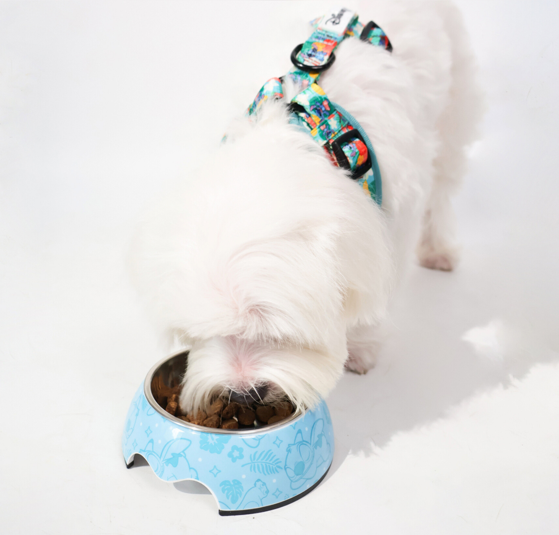 Bark & Spark Official Disney - Dog Hoodie, Cozy Polyester Sweater for ...