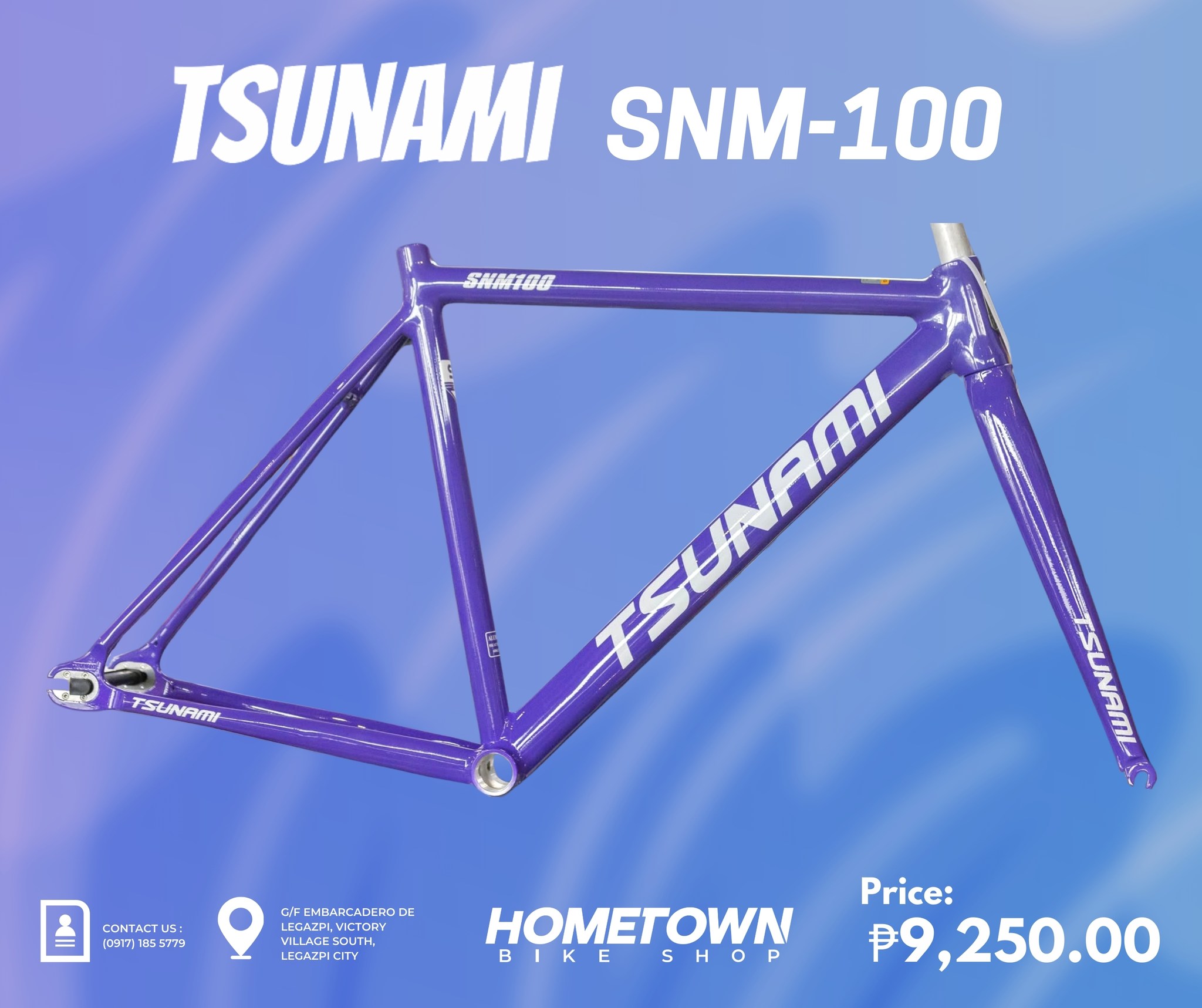 Tsunami SNM100 Alloy Fixie Frame | Shopee Philippines