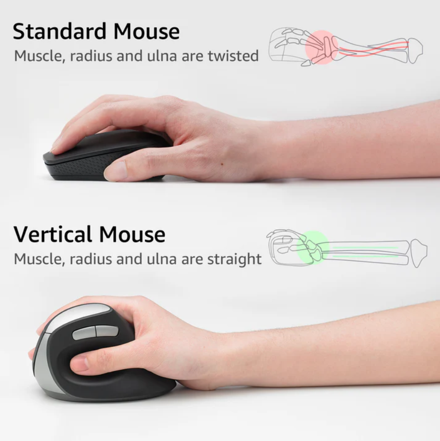 Rapoo EV250 Silent Wireless Optical Ergonomic Vertical Mouse | Shopee ...