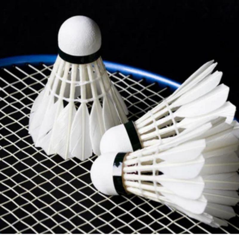 Natural Feather Badminton 3 PCS High Quality Shuttlecock Professional ...