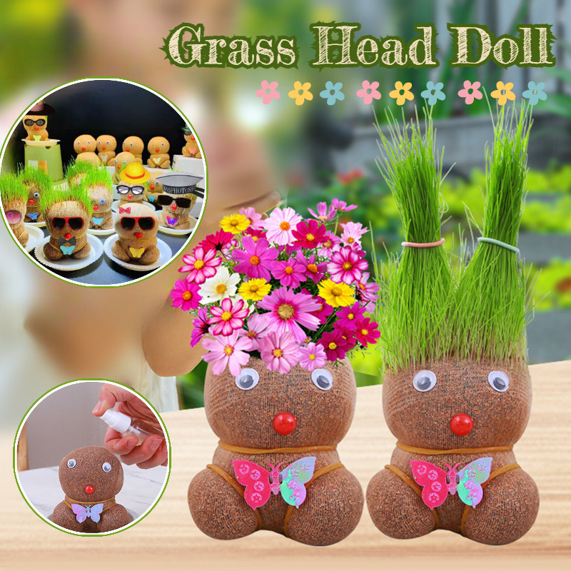 Buy 1 Take 1 Grass Head Room Decor Children Growing Grass Doll Toys ...