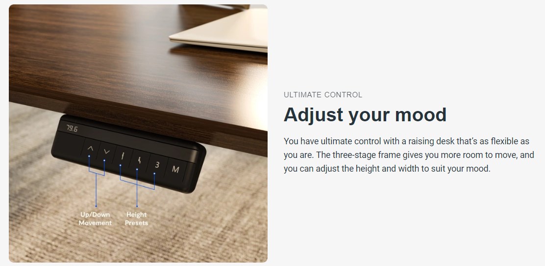 FlexiSpot E7Q Odin 4-Leg Standing Desk with 4-Motor Design Frame Only ...
