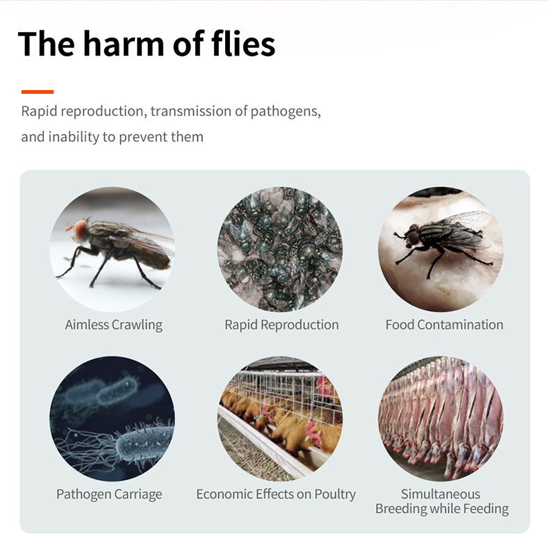 [BUNDLE] 3Cans Akita Fly Killing Bait 200grams + 1 Fly Station ...