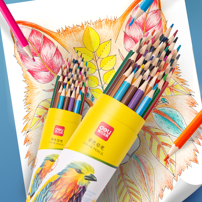 Deli 12/24/36 Colors Pencils Set Colored Pencil Student Art Drawing ...