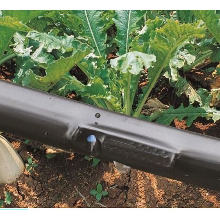 [JAPAN]Drip Irrigation Hose Tape16mm20/30/40cm distance 500/1000m ...