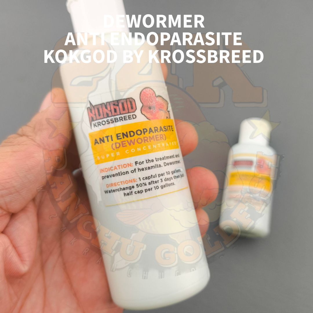 KOKGOD DEWORMER ANTI ENDOPARASITE HEXAMITA ORNAMENTAL FISH MEDICATION ...