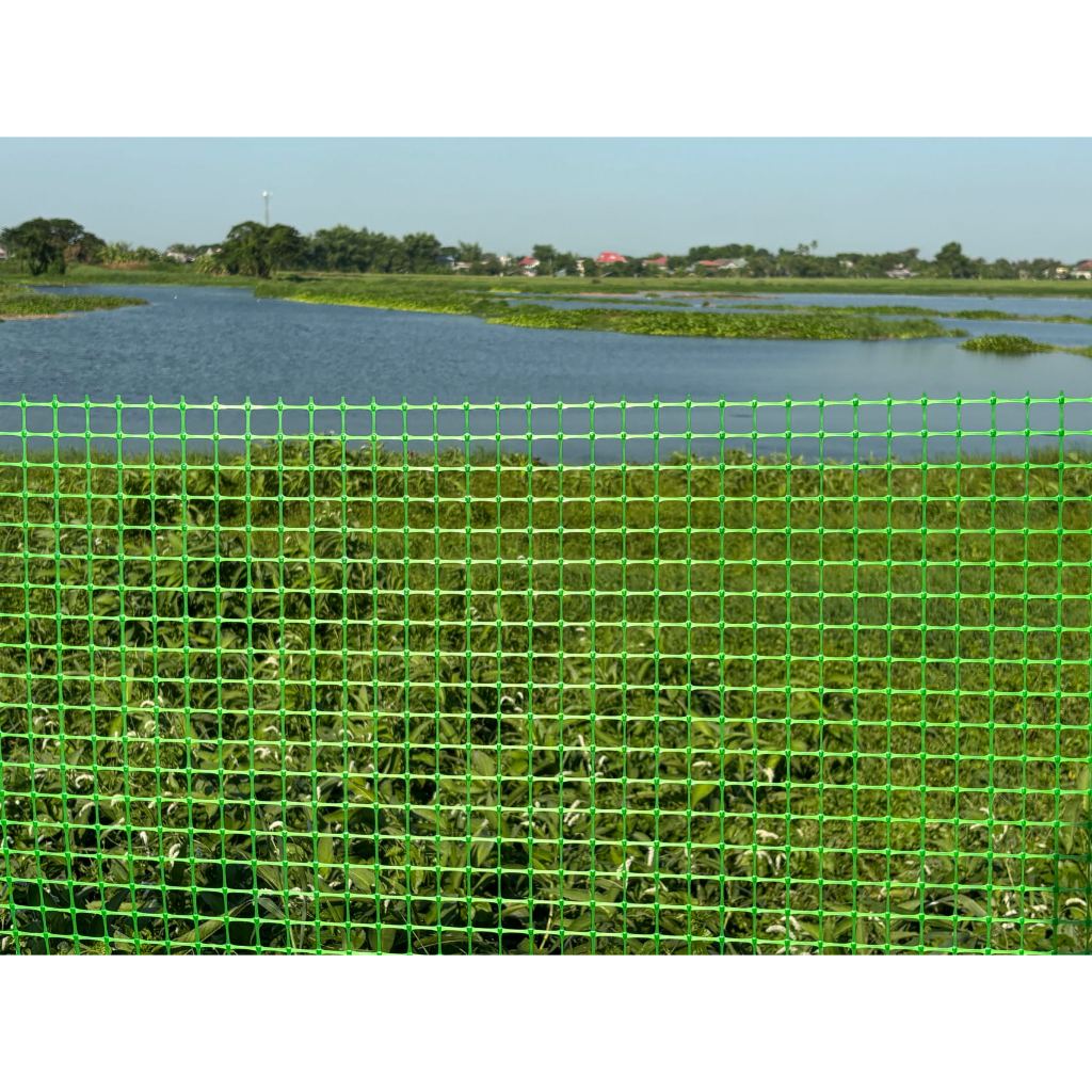Green Plastic Fence Netting 22mm Mesh for Poultry, Chicken, Rabbit ...