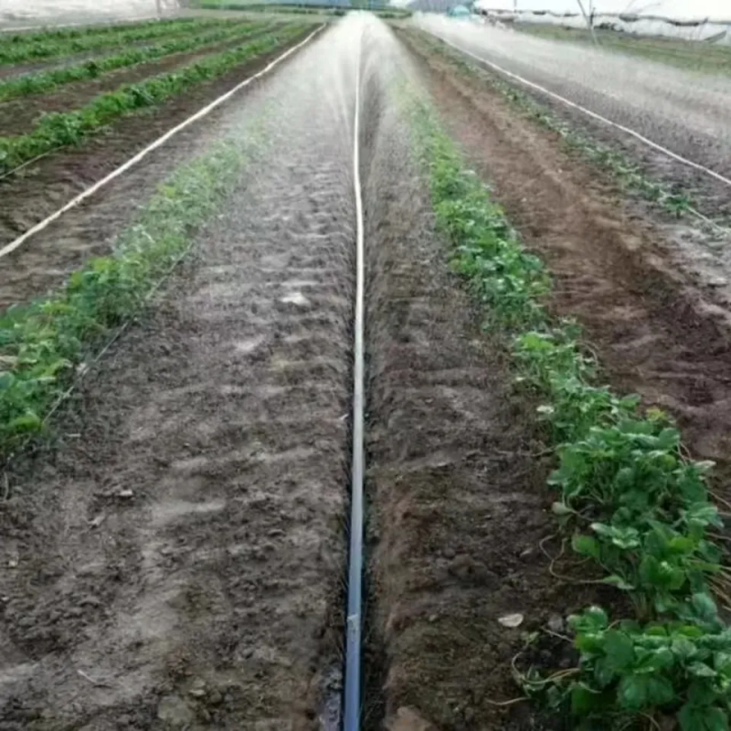 （no hole）1inch 2Inch 3inch*100M Garden PE Plastic Farm Drip Irrigation ...