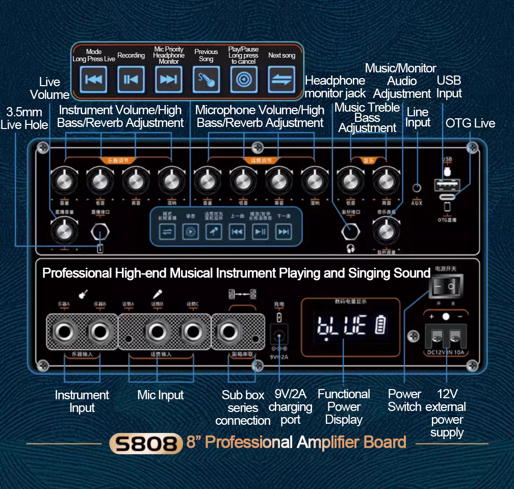 8" 200W Combo Amplifier Speaker with Chorus Reverb Delay for Guitar ...