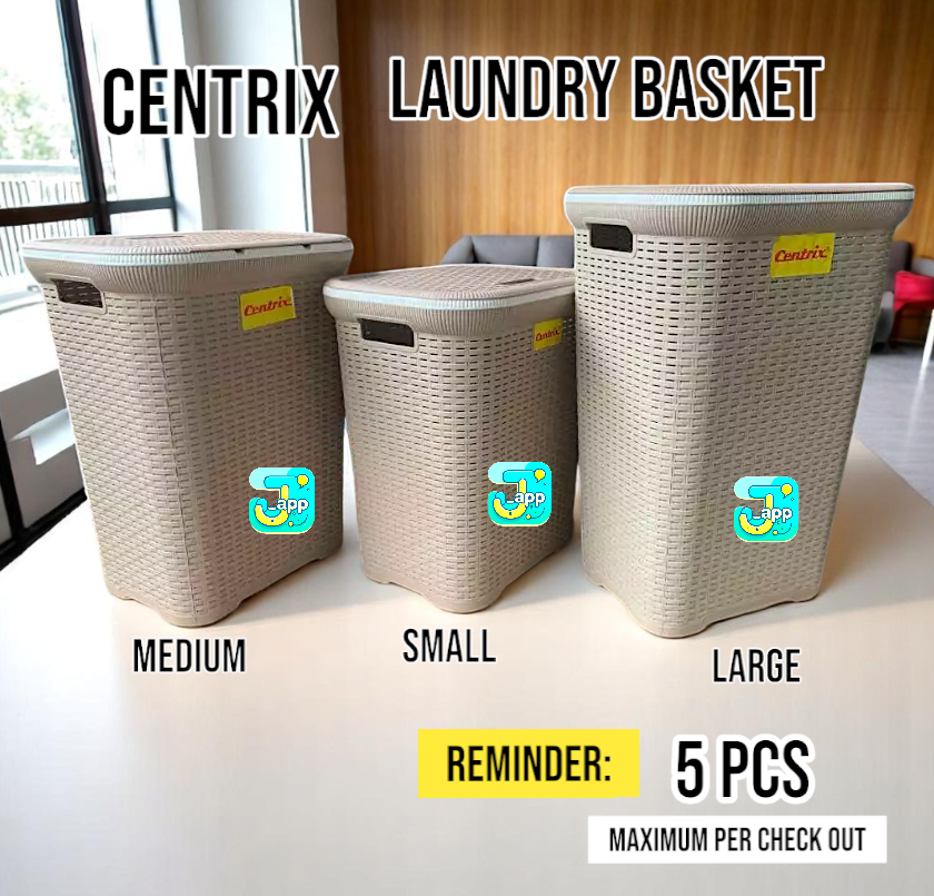 LAUNDRY BASKET Plastic Rattan LABAHAN NG DAMIT with wheels AND Cover ...