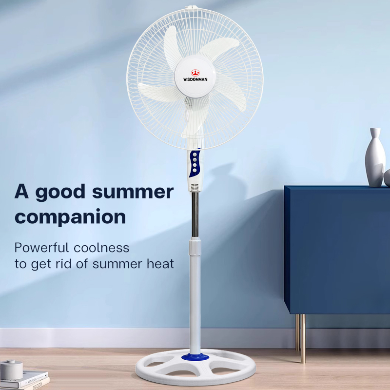 TCLS 16 Inch Portable Electric Fan 5 Blades Stand fan 3 gears ...
