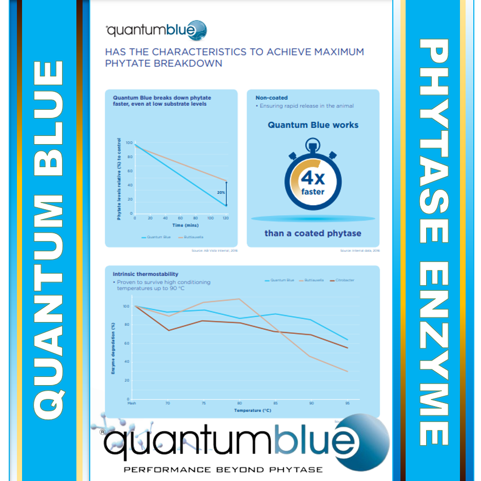 QUANTUM BLUE - PHYTASE ENZYME FEED PREMIX (500 GRAMS REPACKED) | Shopee ...