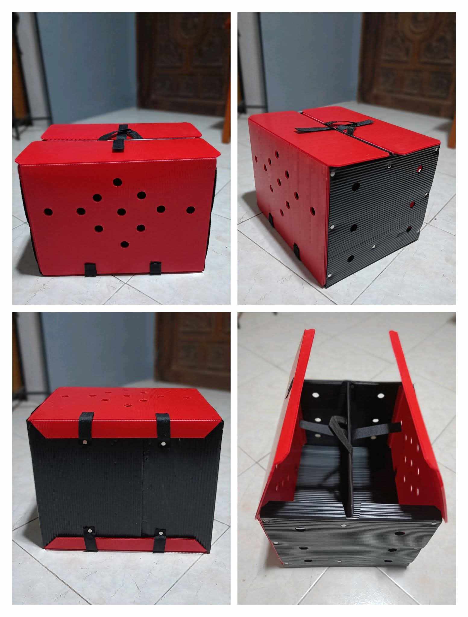 Derby Box Double Plastic Collapsible for Gamefowl | Shopee Philippines