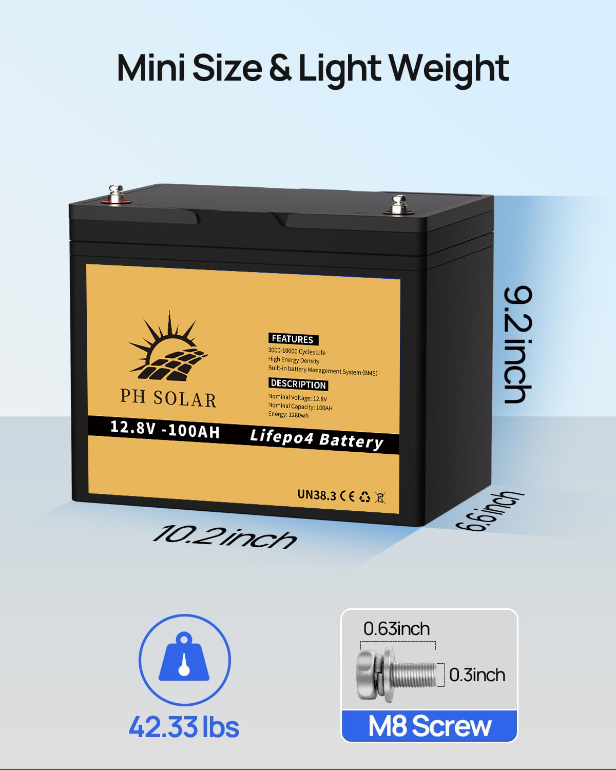 12V 100AH Lifepo4 Battery Lithium Battery 12V 100AH Built in BMS 100A ...