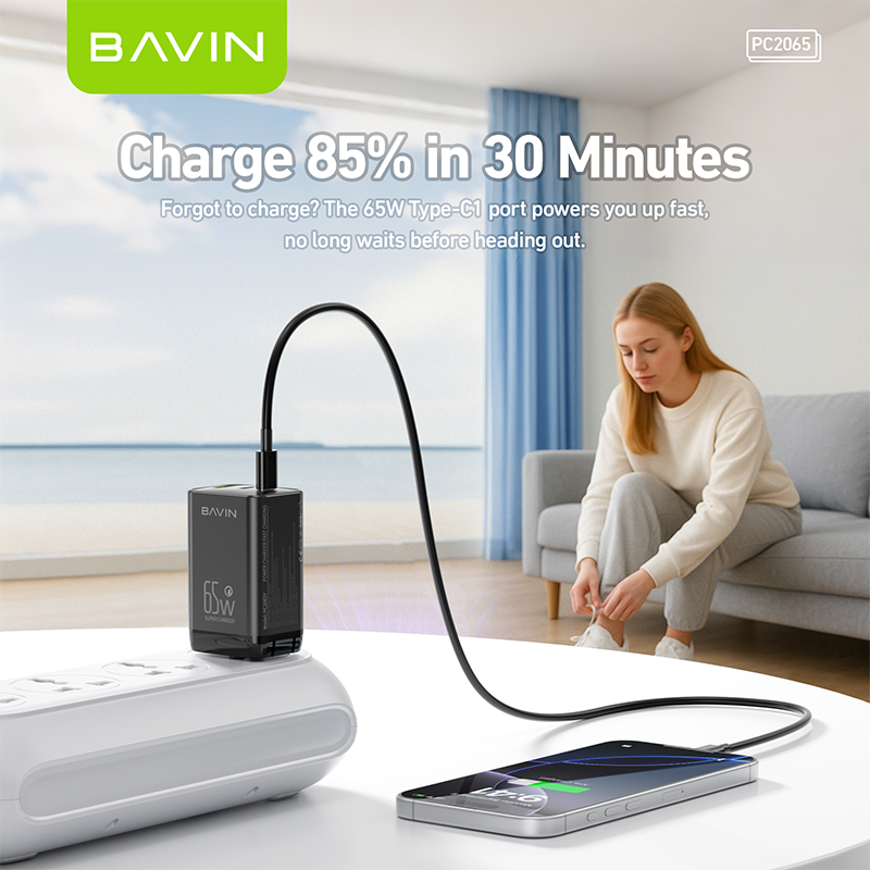 BAVIN PC2065 65W PD+QC Fast Charger w/ Type-C+USB Ports & Cable Set for ...