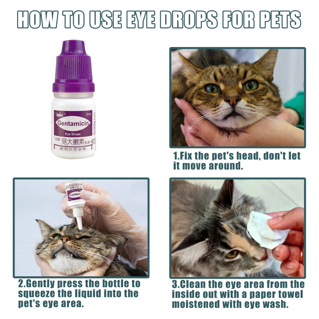 Gentamicin Eye Drop For Dog Cats Treating Eye Infections 5 ML | Shopee ...