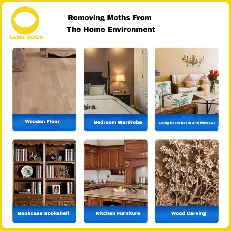 Anay termite killer ant medicine, termite killer powder gel killing ...