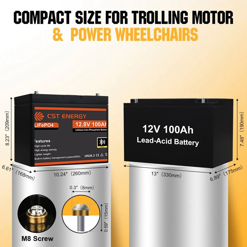 CST ENERGY LifePo4 Battery 12V 100AH with Bluetooth Lithium Battery 12V ...