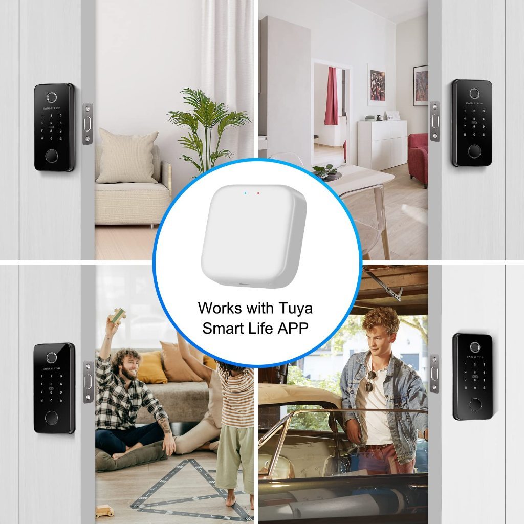 WiFi Gateway Remotely Control Smart Door Lock with Tuya Smart ...