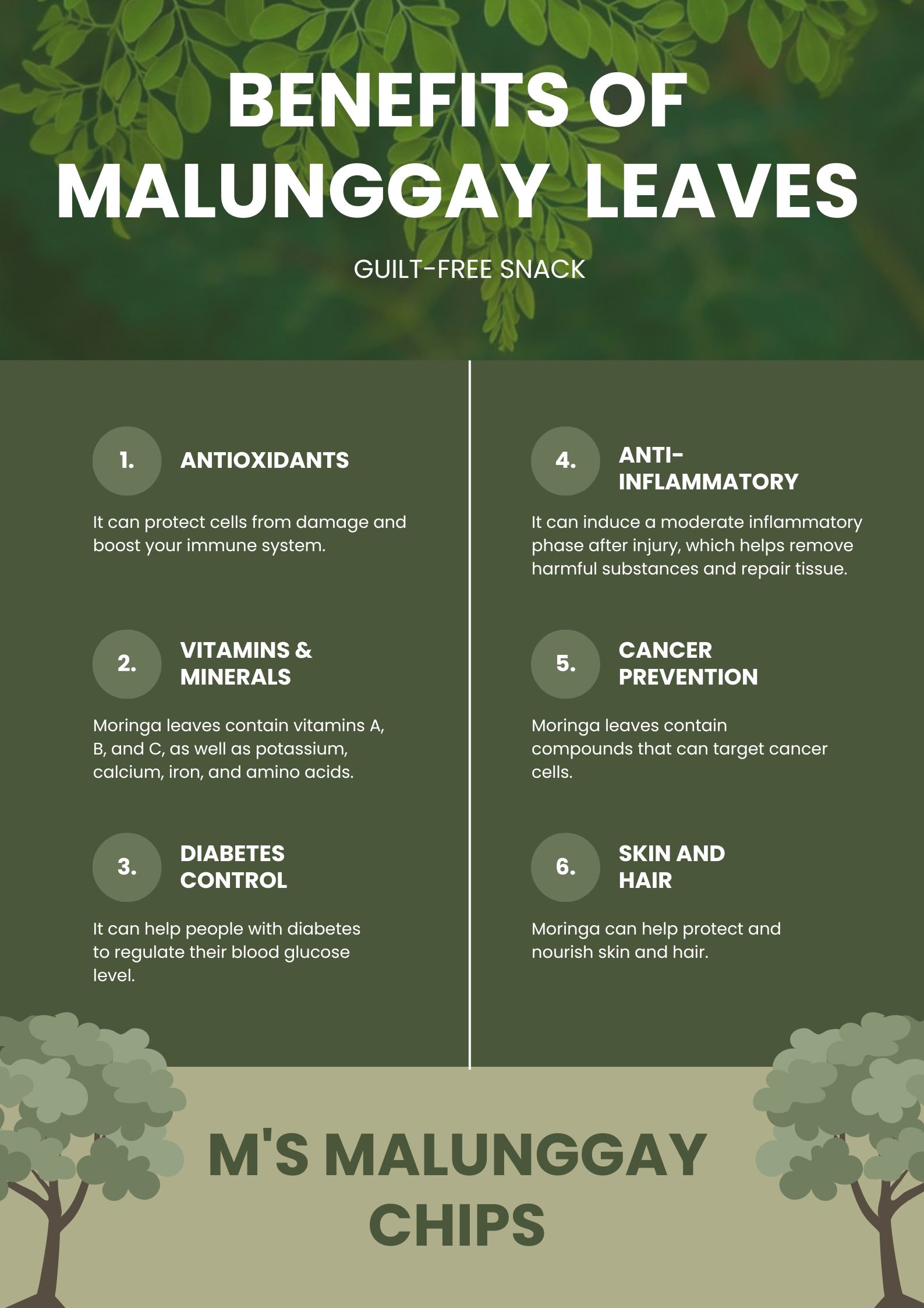 3 packs of 60 grams - Malunggay Chips - Guilt-free Snack - Crispy ...