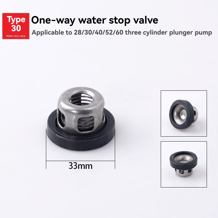 Power Sprayer Valve 6PCS Valve Check Assembly For 22/26/30/60 ...