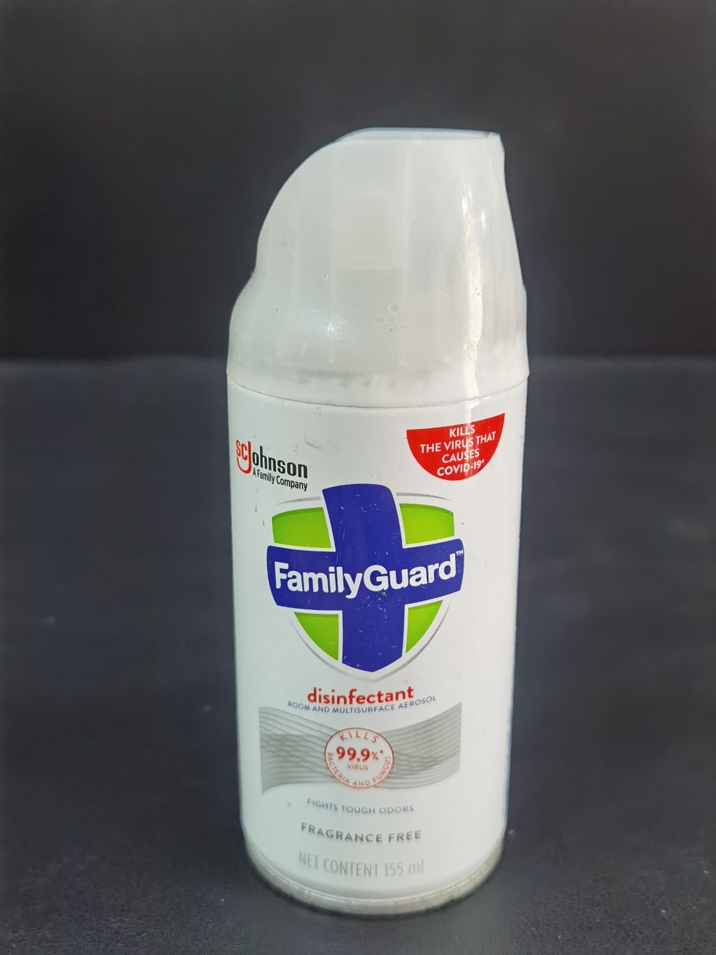 155ml Family Guard Disinfectant | Shopee Philippines