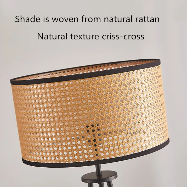 Eroma Rattan Floor Lamp Vintage Minimalist Style Living Room Sofa ...