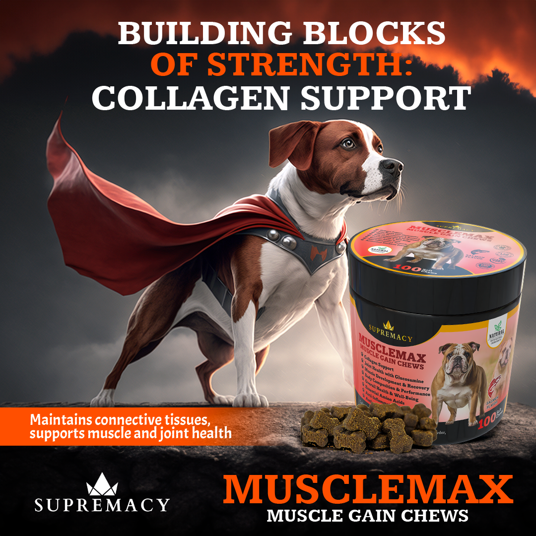 Supremacy Muscle Max Dog Treats & Vitamins Support Beef Growth ...