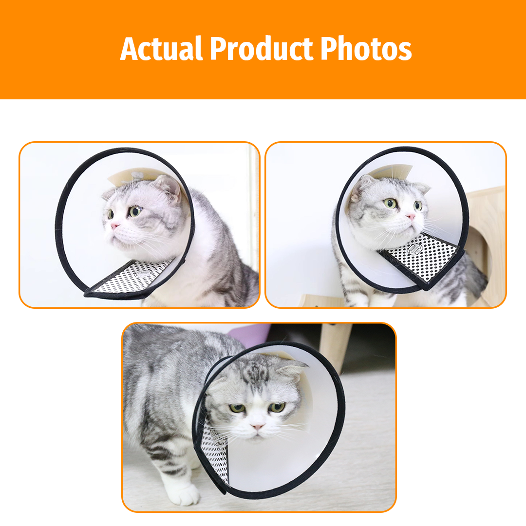 Cassiel Pet Elizabeth Cone E Collar Adjustable Cover For Anti Scratch ...