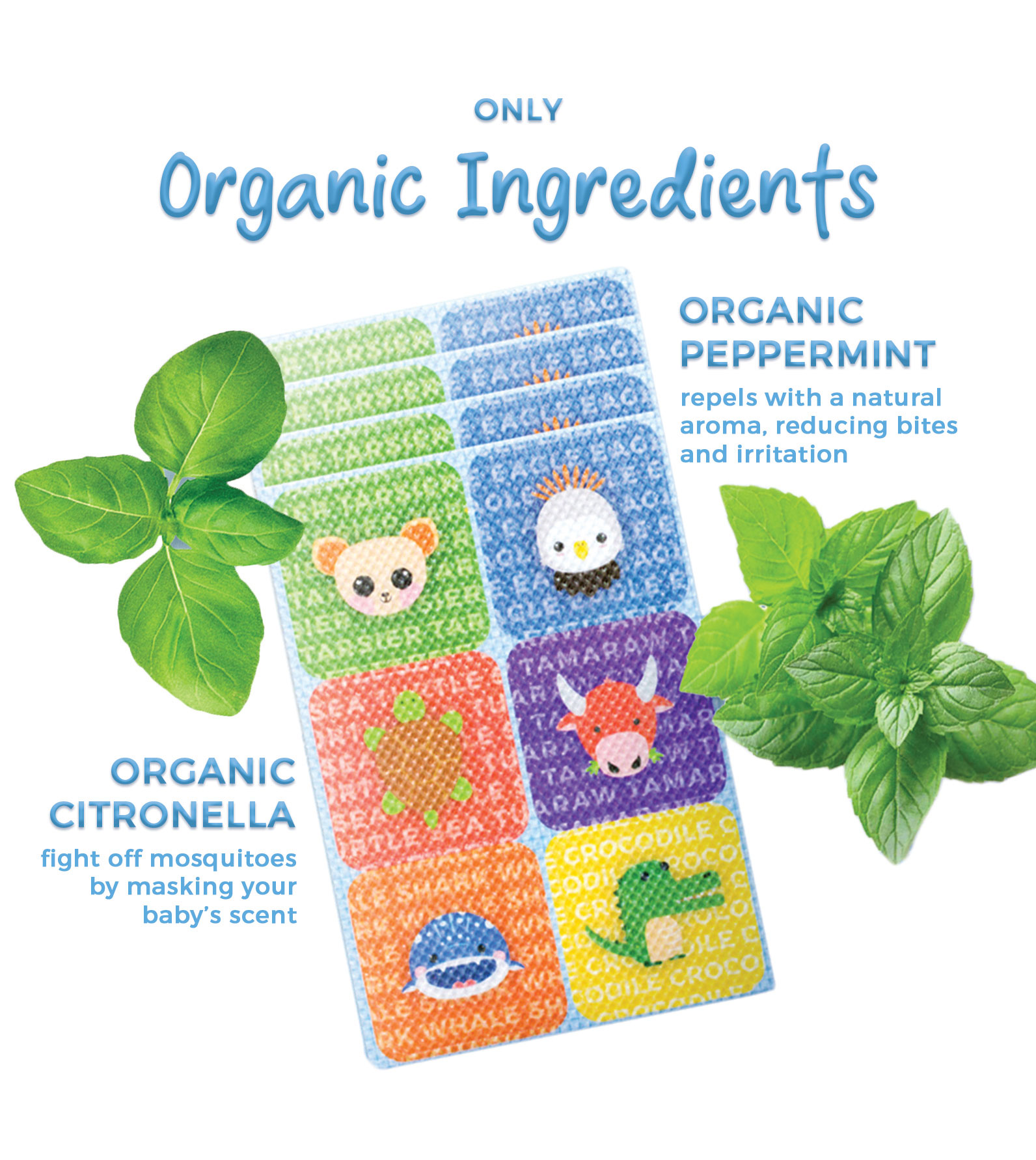 Cottoncare™ (48pcs) Organic Citronella Patch Sticker Drug Free | Shopee ...