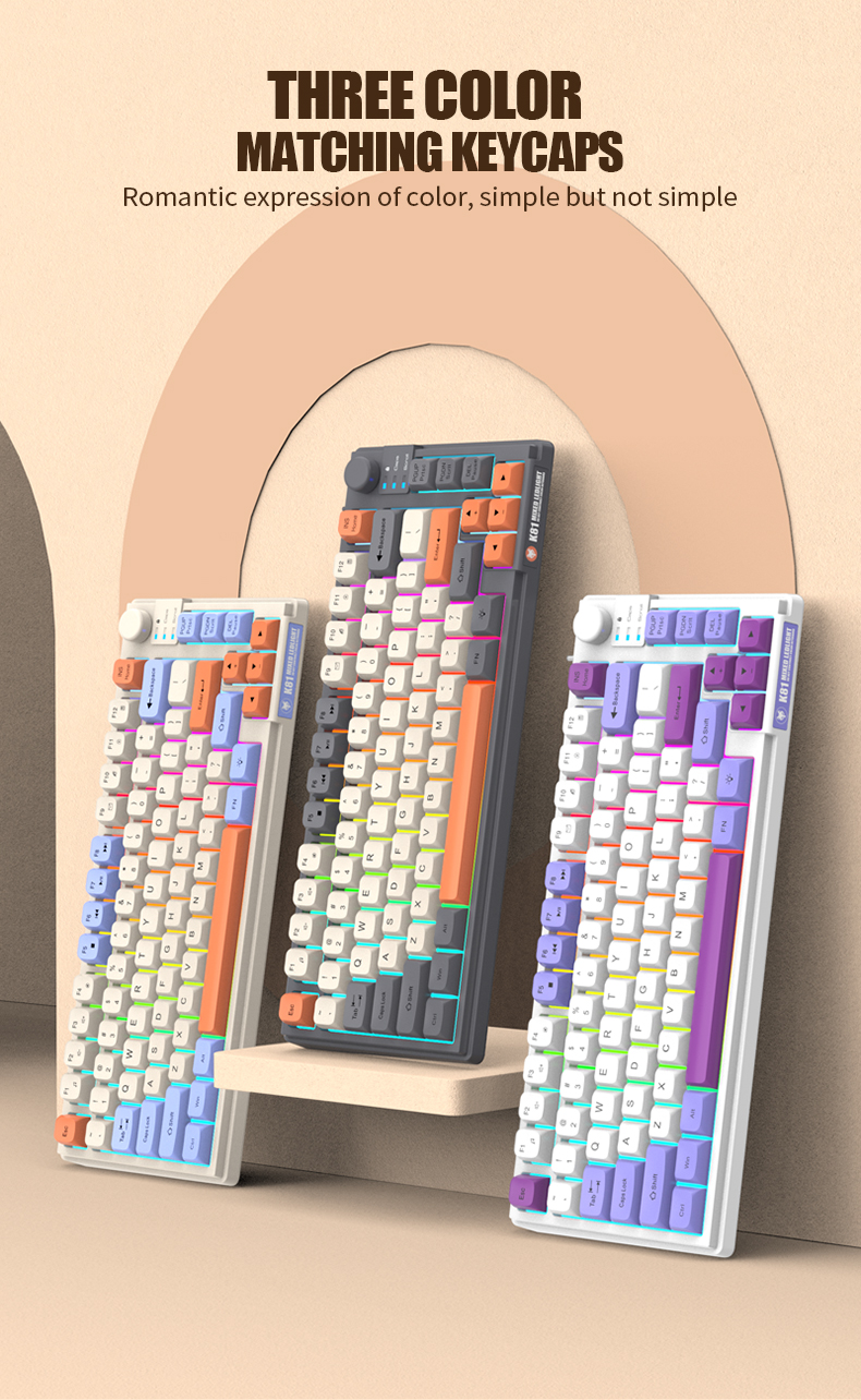 XUNFOX K81 mixed RGB light 81key contrast color mechanical feeling ...