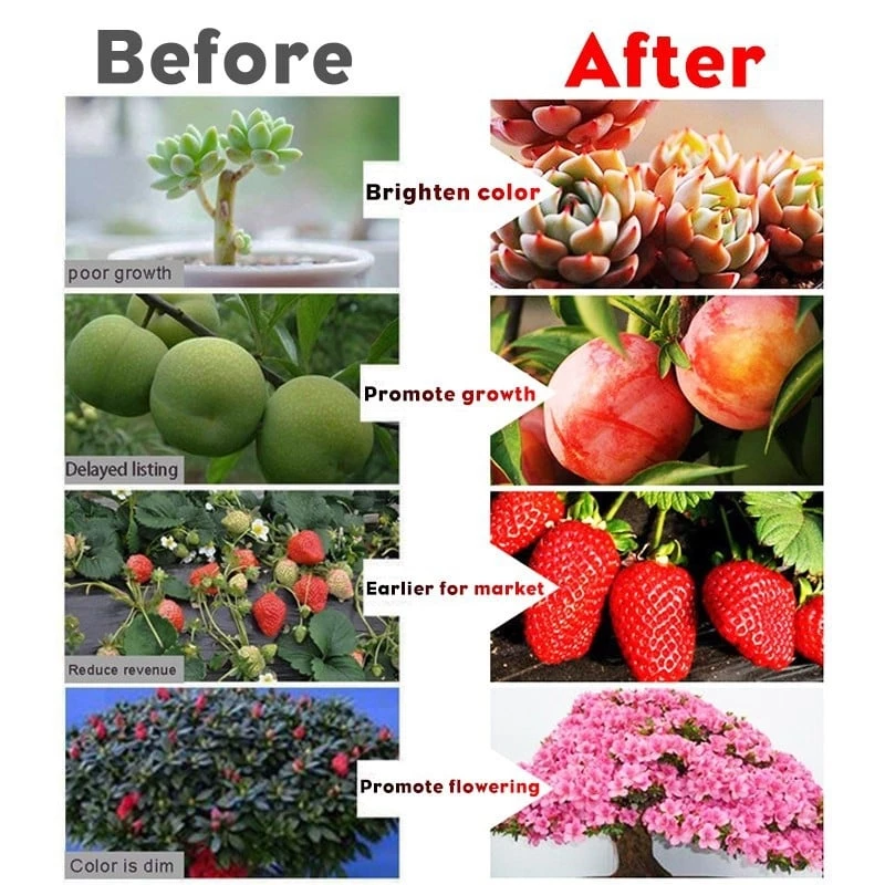 50/100W UV LED Growing Light IP65 Waterproof Full Spectrum Plant Lamp ...