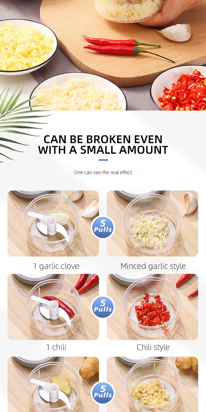 Ecoco Garlic Chopper and Onion Crusher Mini Meat Grinder Manual Food ...